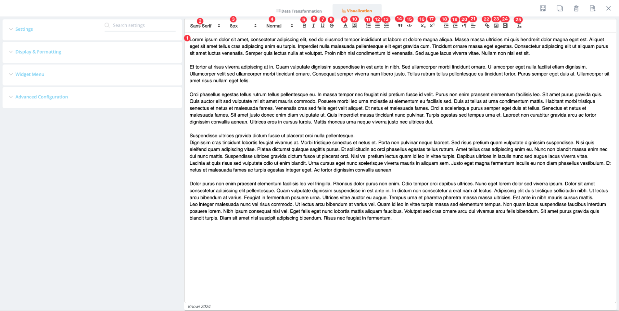 Rich Text Editor – Documentation and Support | Knowi